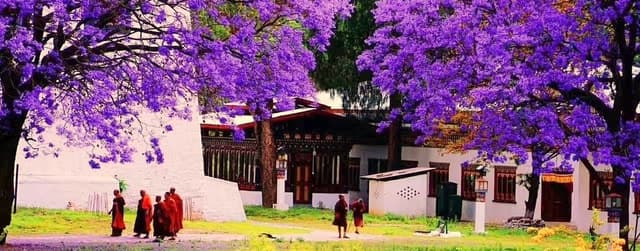 Spring in Bhutan: Explore Nature's Serenity